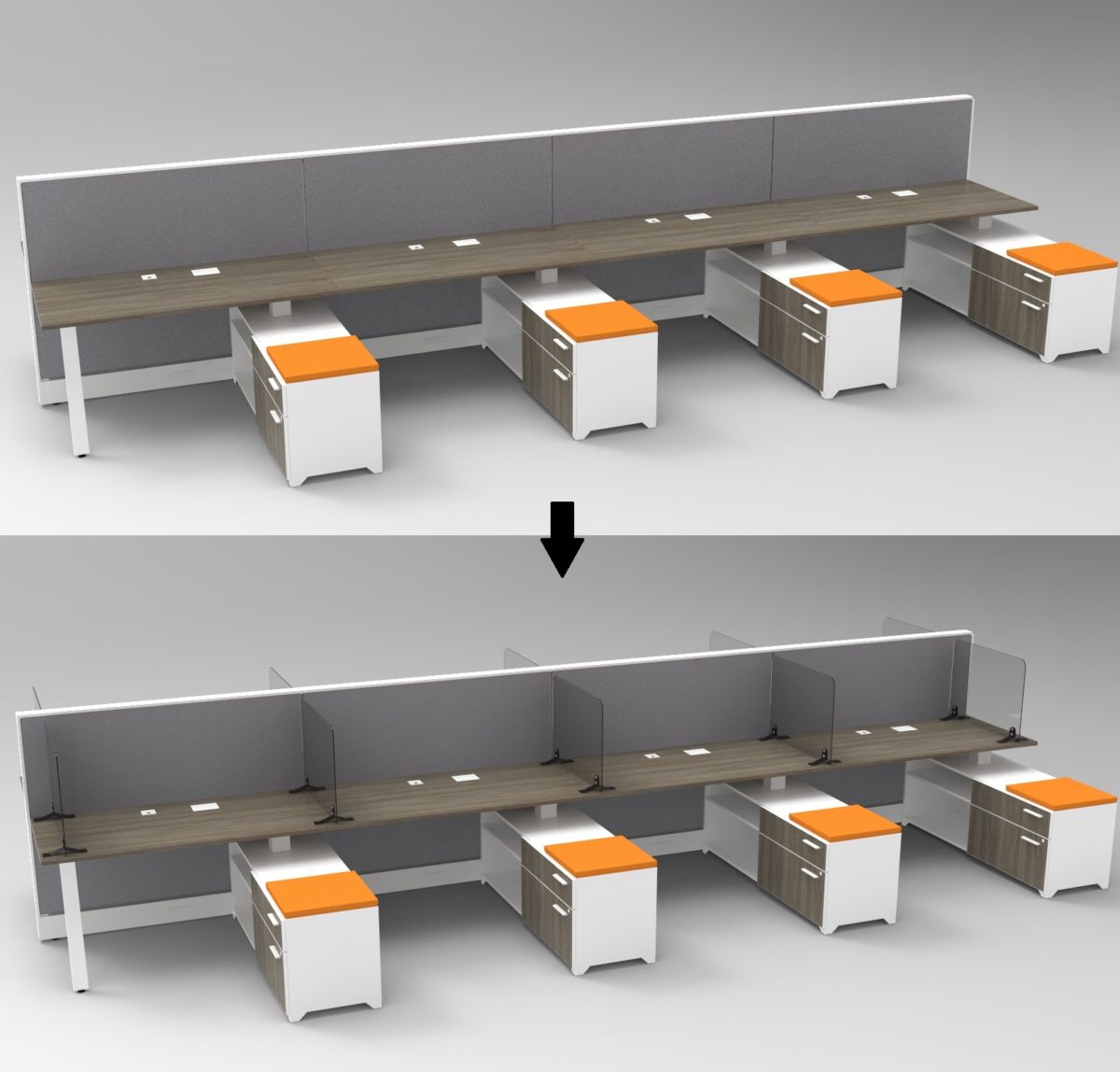 Tayco Shield Collection - Splits Shield - Ergonow